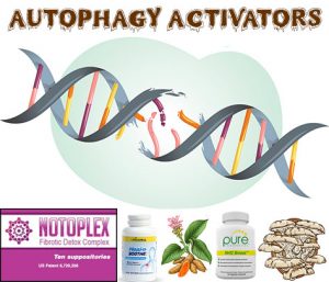 Autophagy - #1 Autophagy Benefits - Cellular & DNA Repair
