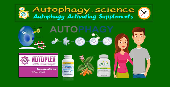 Best Autophagy Supplements - #1 Top Autophagy Activators